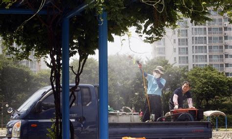 해충과의 전쟁 경북일보 굿데이 굿뉴스