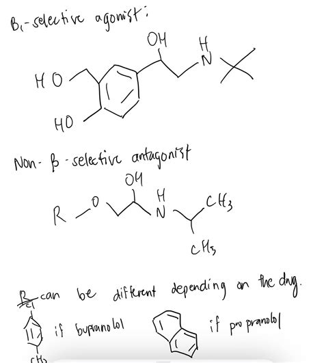 Solved What Are The Differences Between Structures Of Our Beta 1