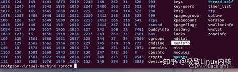 Linux内核模块的插入和移除 知乎