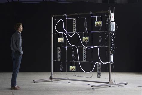 growing flowers digitally with raspberry pi and arduino by hackster