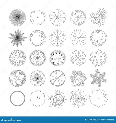 Top View And Side View Set Of Graphics Trees Elements Outline Symbol
