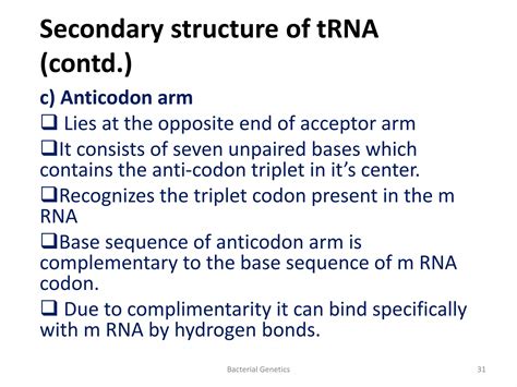 Types And Structure Of Prokaryotic Rna Ppt