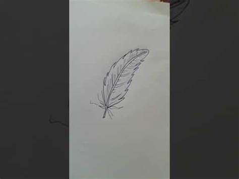 How To Draw Feathers YouTube