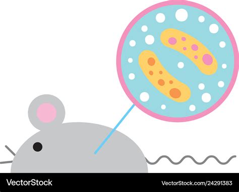 Laboratory Rat Infecting Virus Experiment Vector Image