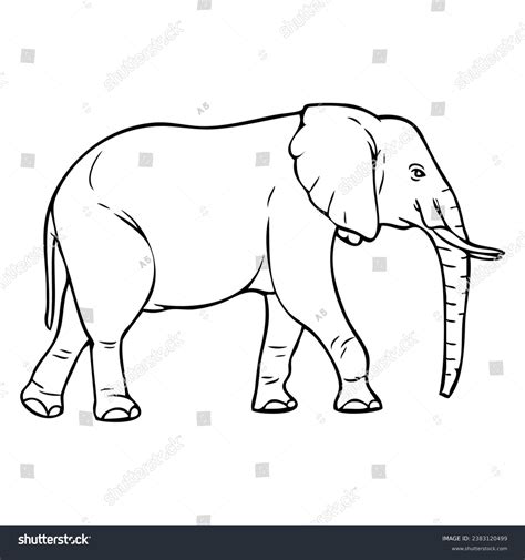 Elephant Top View Vector Over 107 Royalty Free Licensable Stock Vectors And Vector Art Shutterstock