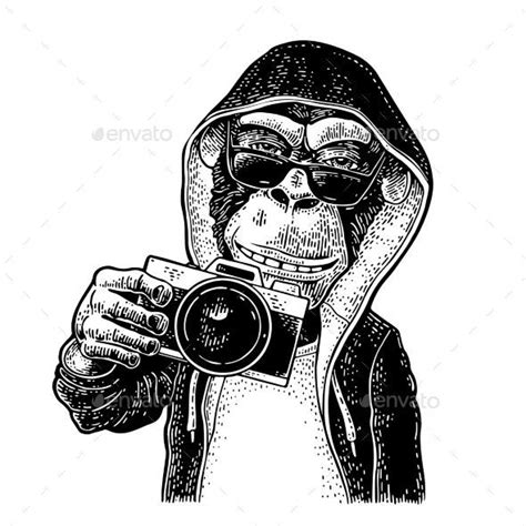 Monkey Photographer Holding Camera Camera Drawing Camera Sketches Engraving Illustration
