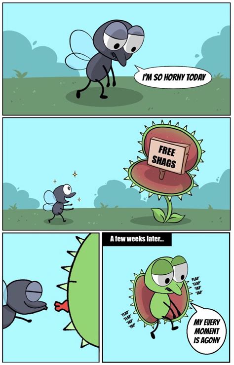 Penis Fly Trap 🌱🌱 R Comedynecrophilia