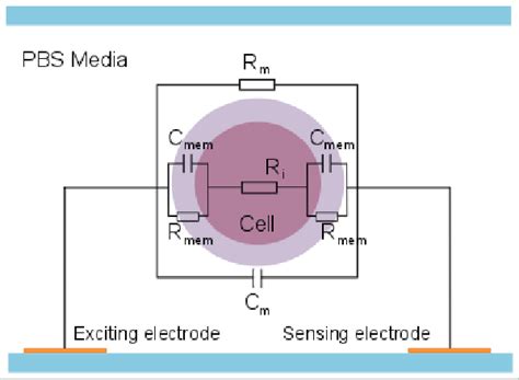 Schematic Drawing Of The Equivalent Circuit Model Download High Quality Scientific Diagram