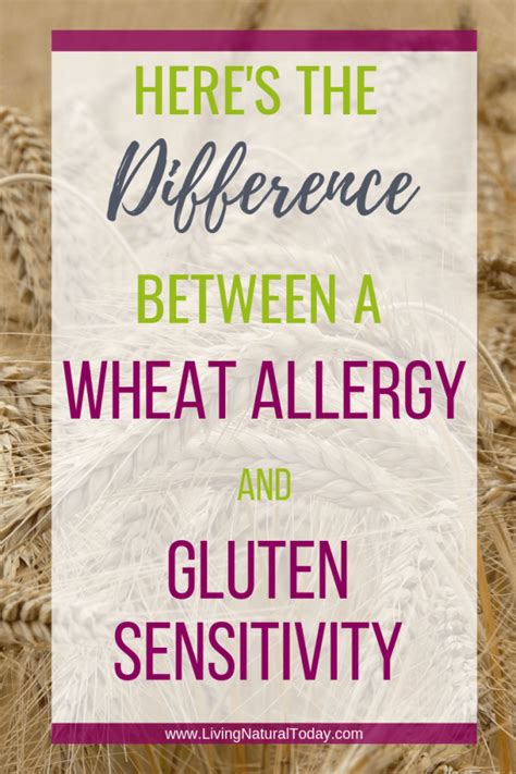 Are You Living With A Wheat Allergy