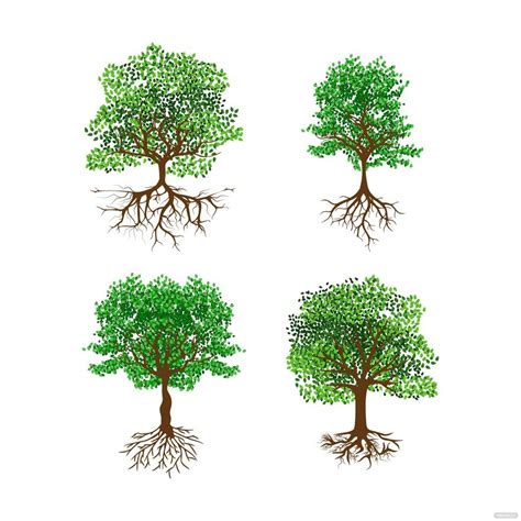 Plant Roots Vector In Eps Svg Png Illustrator  Download