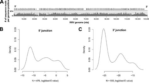 Illuminasolexa Whole Viral Genome Sequencing A Coverage Of Rrv ⌬ Download Scientific
