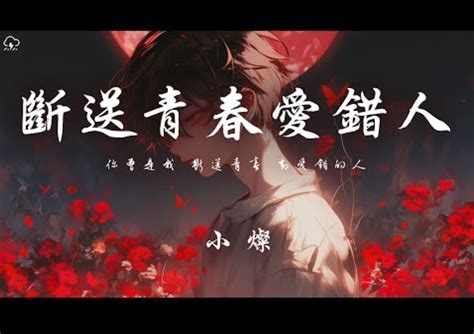 小灿 断送青春爱错人 「你曾是我 断送青春 却爱错的人」【动态歌词】♪ 一半耳机给你 一半耳机给你 哔哩哔哩视频