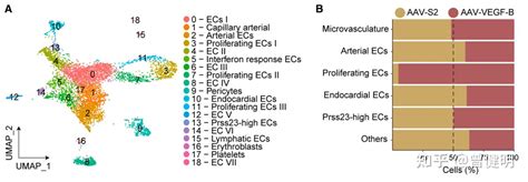单细胞亚群比例变化和表达量差异分析 知乎