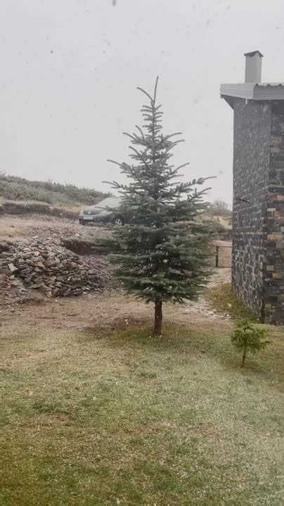 Gorgi Kamov On Linkedin ️Снег денеска на Попова Шапка Пристигна снегот во…