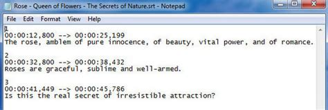 How To Add SRT Subtitles To Videos In IPhone IPad