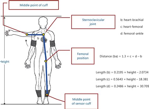 PulseWave Velocity My WordPress Blog