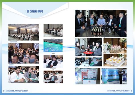 Engineering Ccus