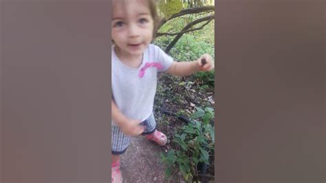 ყურძენი Youtube