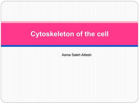 Cytoskeleton Microtubules Microfilaments Intermediate Filaments Pptx