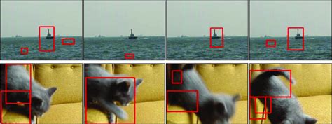 detection proposals generated on two videos from the youtubeobjects