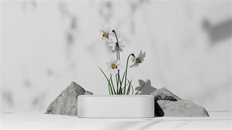 흰색 꽃이 있는 자연스러운 흰색 연단 모형 또는 받침대 미용 제품 쇼케이스 및 프레젠테이션을 위한 빈 플랫폼 3d 렌더링 0명에 대한 스톡 사진 및 기타 이미지 Istock