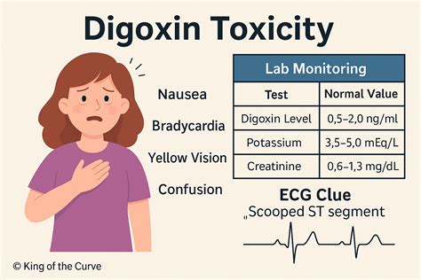 💊 Digoxin Toxicity Nclex Signs Labs And Nursing Priorities — King Of The Curve