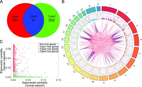 Cancer Hub Genes Of The Cancer Gene Relationship Network Type 1 Hub