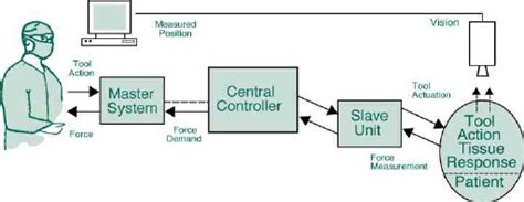 The Functions Of The Digit And Of The Master Slave System Download Scientific Diagram