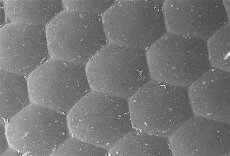 Biochemistry And Molecular Biology Data Usa