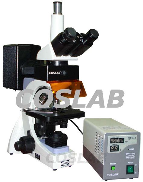 Epi Fluorescent Microscope At Best Price In Ambala By Cosmo Laboratory Equipment Id 4662594291