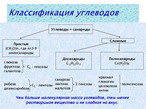 Углеводы. Роль углеводов в природе и их значение для жизни человека ...