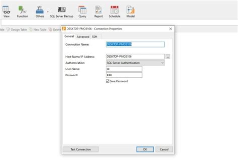 Creating A Sql Database Context In A Net Winform Application With