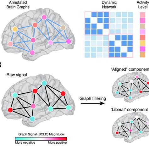 Continuum Of Functional Activity And Network Dynamics The Structural Download Scientific