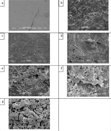 Surface Analyses By Sem A Uncoated Mild Steel Surface B Without Download Scientific