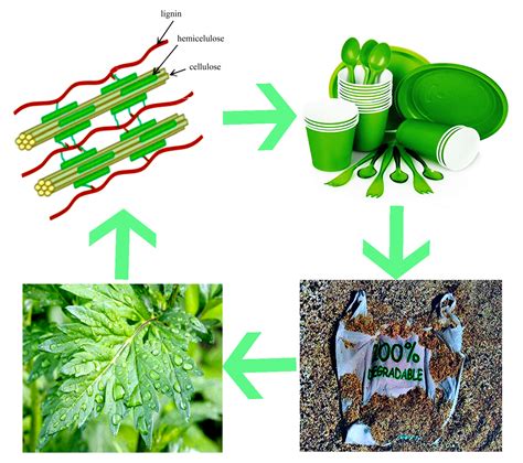 Polymers Free Full Text Applications Of Lignocellulosic Fibers And Lignin In Bioplastics A