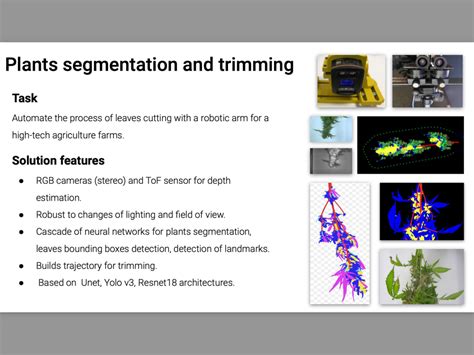 Mvp For Detectionclassificationsegmentationregression Projects Upwork