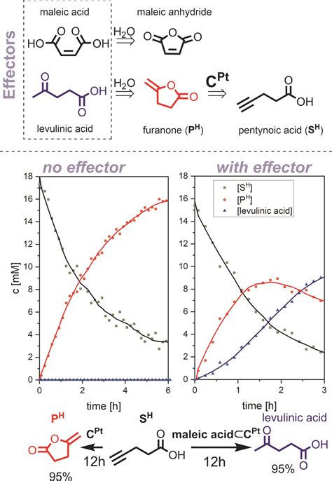 Effector Regulated Catalytic Cyclization Of Alkynoic Acids Using Pt2l4