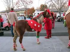 11 Horse Christmas Parade Ideas Christmas Parade Christmas Horses