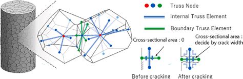 Schematic Diagram For The Truss Network Model Download Scientific