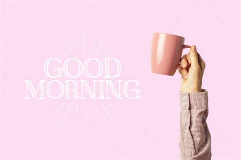 분홍색 배경에 뜨거운 커피 또는 차와 보라색 컵을 들고 옷에 여성 손 좋은 아침 텍스트를 추가했습니다 따뜻한 커피 또는 차로 아침 식사 컨셉 겨울에 대한 스톡 사진 및 기타