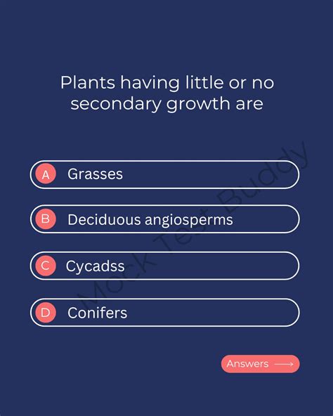 Mock Test Buddy Mocktestbuddy • Instagram Photos And Videos