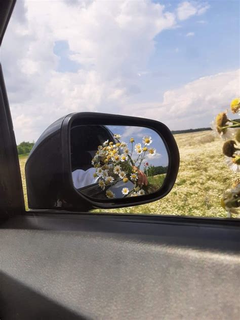 Ромашковое поле Летние фотографии природы Ромашки Тематические фотосессии