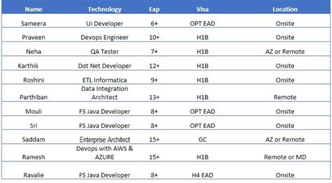 Uideveloper Devopsengineer Devops Qa Qatester Dotnet Etl