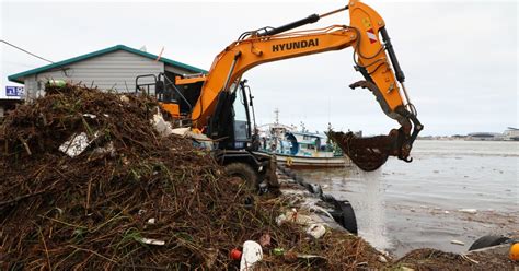 속초 청초호 쓰레기 끝이 없네