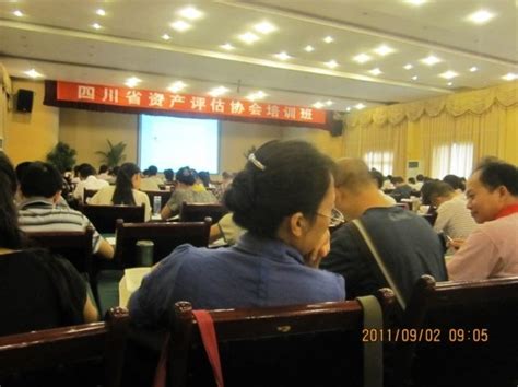 四川维诚会计师事务所有限公司