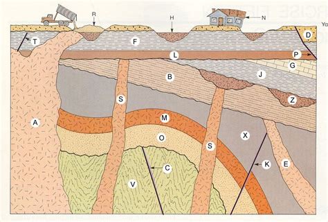 Law Of Superposition Fossils