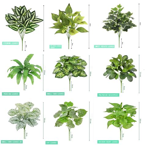 S52fd6d8dc51449eca2baa7541783d61ae