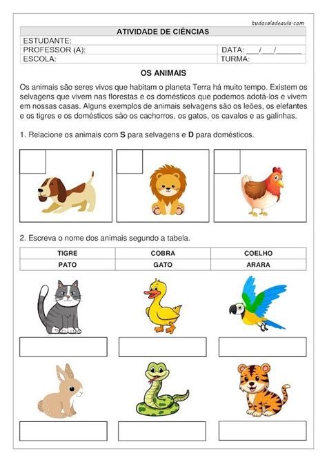 Atividades De Alfabetização Com Animais E Pássaros