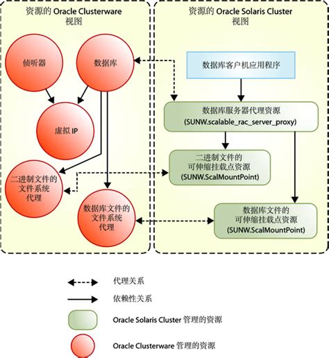 使用 Oracle Solaris Cluster 维护命令创建与 Oracle Grid Infrastructure 互操作的资源 适用于 Oracle Real