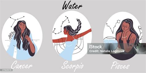 점성술 요소 물 조디악 표지판 벡터 일러스트 레이 션 별자리 아이콘 세트 암 전갈자리 물고기자리 점성술 여성 패션 상징 여성